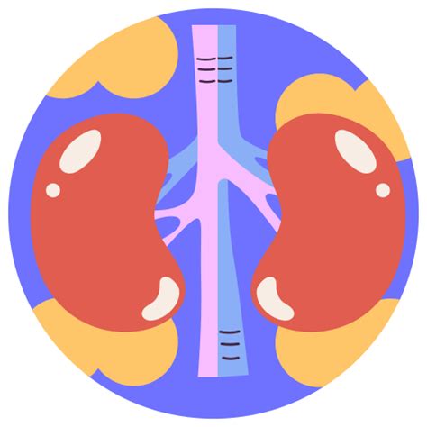 Stickers De Riñones Stickers De Asistencia Sanitaria Y Médica Gratis
