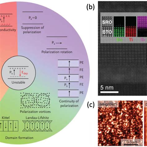 A Illustration Of The Impact Of The Electrostatic Environment On The Download Scientific