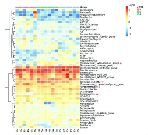 Microbial Diversity Analysis Heat Map Showing Top 50 Genus Of Normal