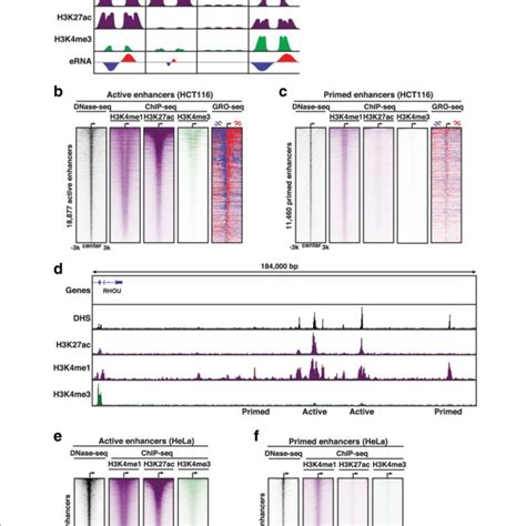 Gro Seq Coverage At Active Versus Primed Enhancers Metagene Plots Of