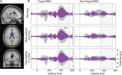 A Centroid Bigger Sphere And Individual Ics Of The Ic Cluster 19