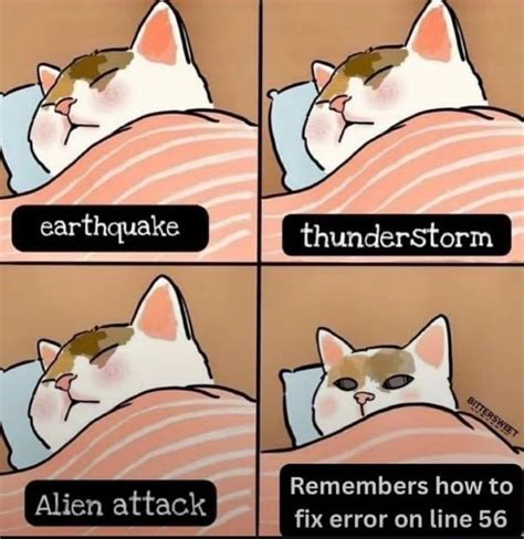 Programmer Sohel On Linkedin I Do All Day