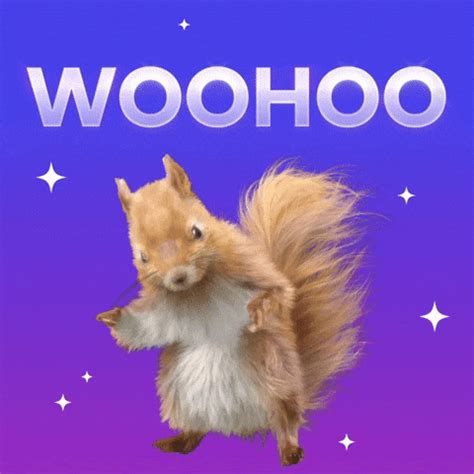 Squirrel Dance S Find And Share On Giphy