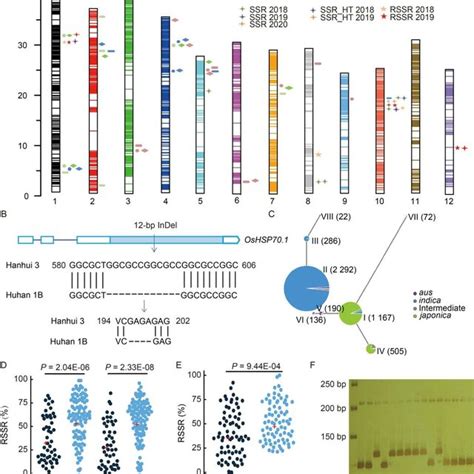 Qtls Detected For Panicle Traits And Heat Tolerance And Haplotype