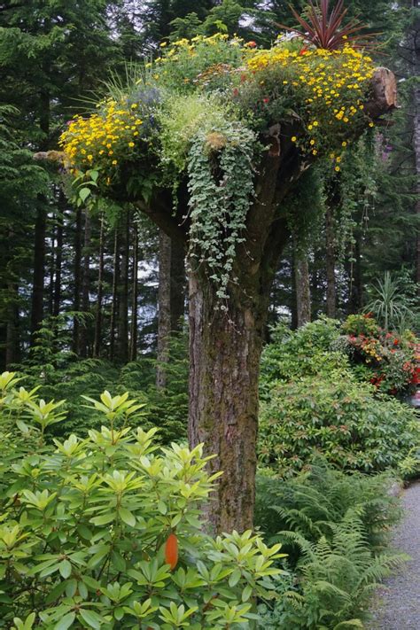 Top 10 Tree Trunk Ideas And Inspiration