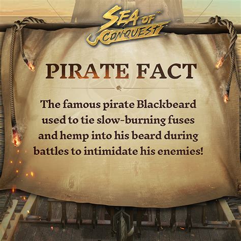 Sea Of Conquest Its Time For Some Pirate Knowledge 📖 Facebook