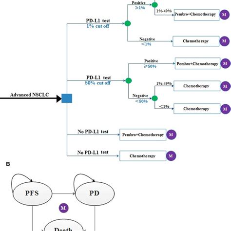 Model Structure A The Framework Of The Decision Tree Pd‐l1 Test