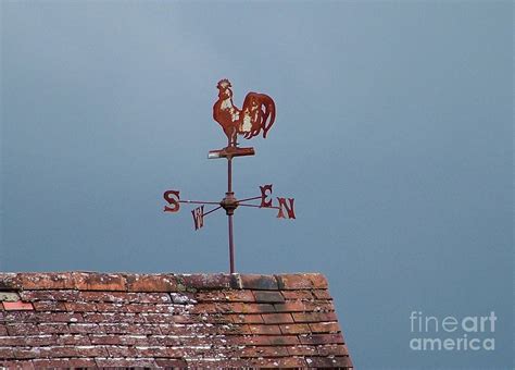 Cock A Doodle Do Photograph By Michelle Orai Fine Art America