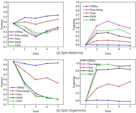 Figure 3 From Continual Learning Of Medical Image Classification Based