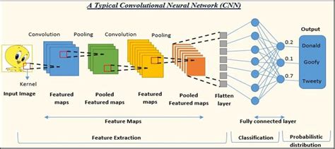 Picture Of Cnn Architecture For Automated Image Classification And Download Scientific Diagram