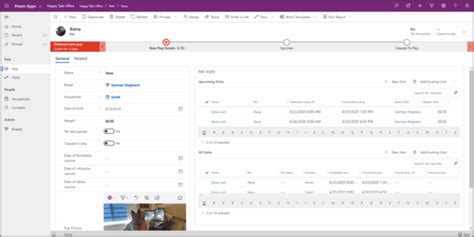 Power Apps Model Driven Fusion Solution