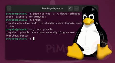 How To Add A User To A Group On Linux Pi My Life Up