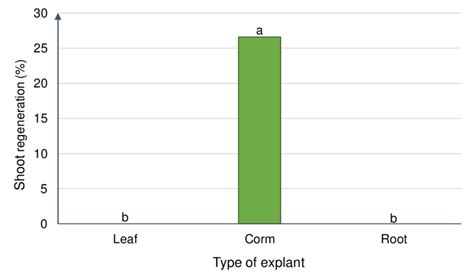 Response Of The Different Types Of Explants Of Wild Ginger To Direct