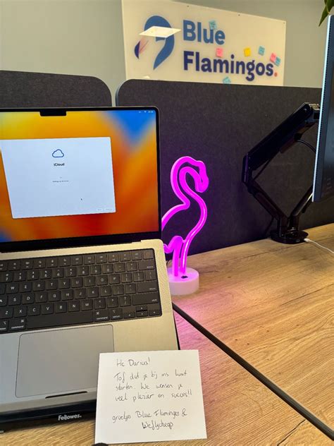 Darius Rosendahl On Linkedin Here We Go 🔵🦩blue Flamingos ️🎉 13 Comments