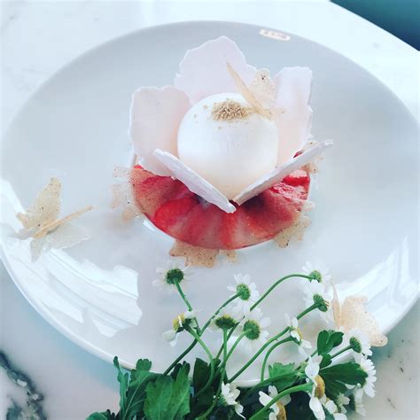 건강한食원정대 Jang 1 준비된 버섯들은 한입 크기로 준비 해 주세요 느타리 버섯과 팽이 버섯은 손으로 잘게 찢고 표고버섯과 목이 버섯은 한 입 크기로 준비