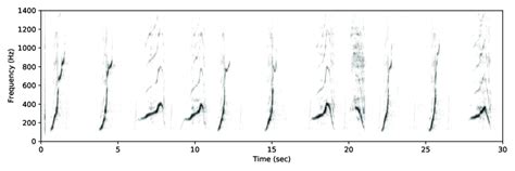 5 Extract Of A Humpback Whale Song From The Carimam Dataset Stft
