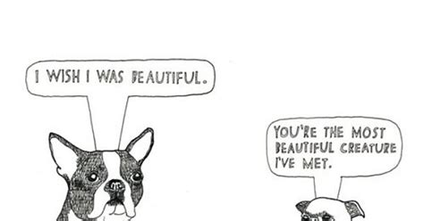 I Own A Boston Terrier And A Pug I Like To Think This Is How They Support Each Other Imgur