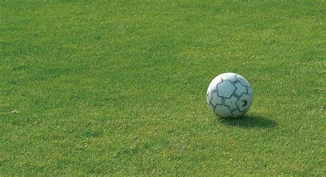 축구와 함께 건너는 글 쓰는 시간 예술인