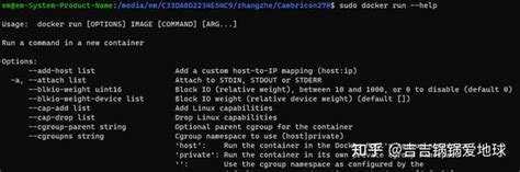 docker终端常用命令（删除，创建，新建，启动，停止，推送，提交）dockerfile 一只特立独行的猪