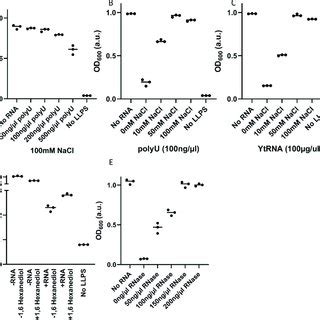 HnRNPA LCD Undergoes LLPS And Recruits RNA To Droplets A After Download Scientific Diagram