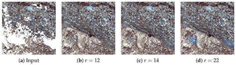 Fast Thick Cloud Removal For Multi Temporal Remote Sensing Imagery Via