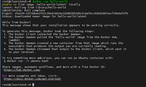 Установка и удаление Docker с Docker Compose — Lsetc Ru
