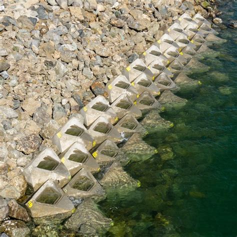 Seven Examples Of Underwater Architecture Including Museums And Hotels