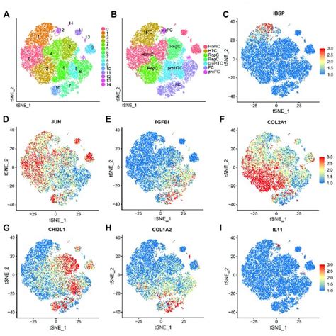 single cell rna sequencing data analysis showing the heterogeneity of