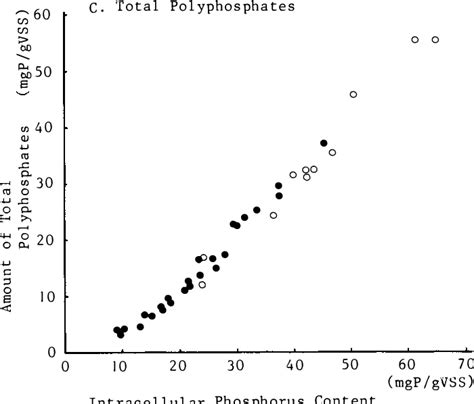 Figure 4 From Location Of Phosphorus In Activated Sludge And Function