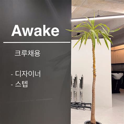 제주미용실 어웨이크헤어 제주레이어드펌 제주히피펌 ️얼굴이다한머리 제주미용실 노형미용실 신제주미용실 제주남자머리 제주남자옷가게 제주맛집 제주다운펌