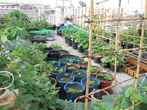 คัดมาให้ดู 100 ไอเดียแปลงปลูกผักสวนครัว สวยๆ แบบประหยัดพื้นที่ แบบเกษตรพอเพียง การออกแบบสวน