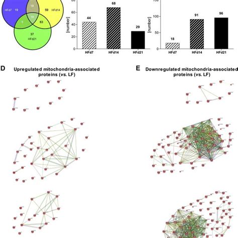 Liver Membrane Protein Profiles During Developing Hf Mediated Hepatic