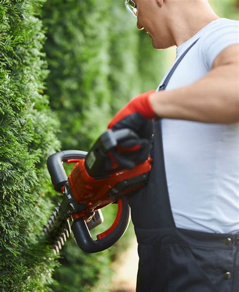 Tree Trimming And Removal PEG Australia
