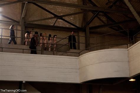 A Slew Of Sexual Slaves Assemble In An Aban Xxx Dessert Picture 4