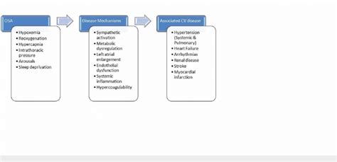 A Depiction Of The Pathophysiology Of Associated Cardiovascular Disease