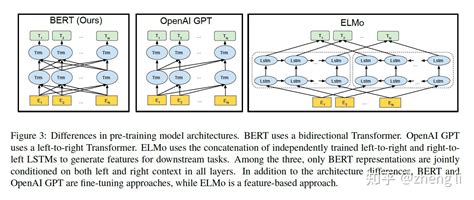 文本分类与实体抽取 知乎