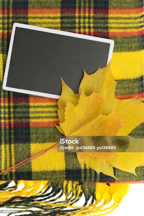 가 칠판 흰색 배경에 고립 된 노란색 체크 무늬 스카프에 메이플 리프 빈 보기 상위 공간을 복사 합니다 가 시즌입니다 0명에 대한 스톡 사진 및 기타 이미지 Istock