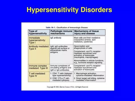 Ppt Hypersensitivity Disorders Powerpoint Presentation Free Download Id 1448635