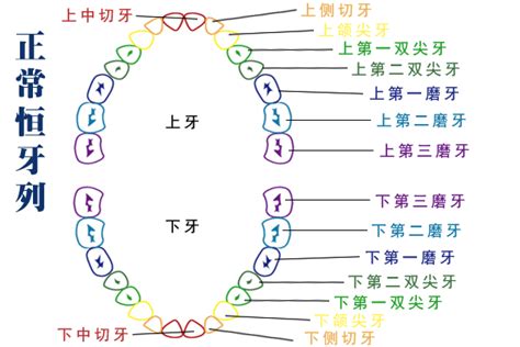 课程门户 章节详情