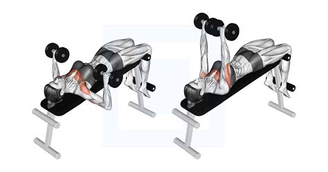 Negative Push Up Guide Benefits And Form