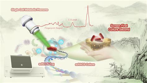 Single Cell Raman Based Tool Developed For Efficient Mining Of Live