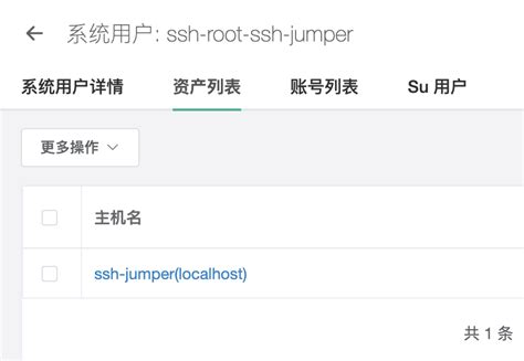 Bug web终端连接时使用的特权用户不匹配 Issue 7388 jumpserver jumpserver GitHub