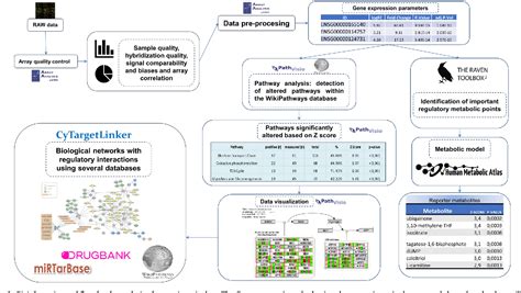 Figure 1 From A Bioinformatics Workflow To Decipher Transcriptomic Data