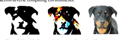 Figure 3 From Optimizing Image Recognition Efficiency Using Sparse
