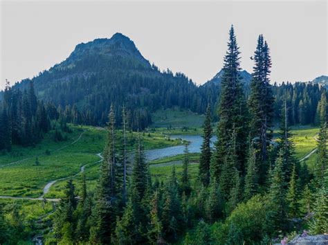 Tipsoo Lake And Little Naches River Cats And Trails And Garden Tales