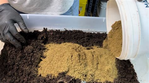 Addressing Heavy Dense Bin Bedding In Nursery Bin Youtube