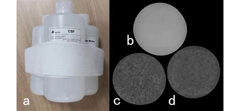 gm wm and csf simulation phantoms a and synthetic t2 weighted image