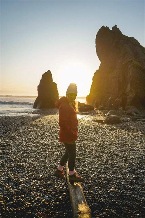 Tree Of Life Washington State S Most Unique Tree While It Lasts Uprooted Traveler