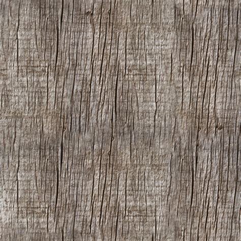 Branch Tree Texture To Download Manytextures