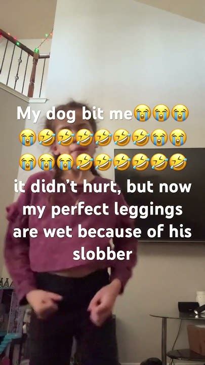 He Does Not Jump Or Bite He Was Just Playing Around Operationhighjump Youtube